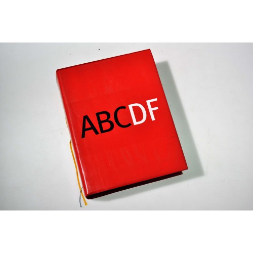 ABCDF Diccionario gráfico de la Ciudad de México*