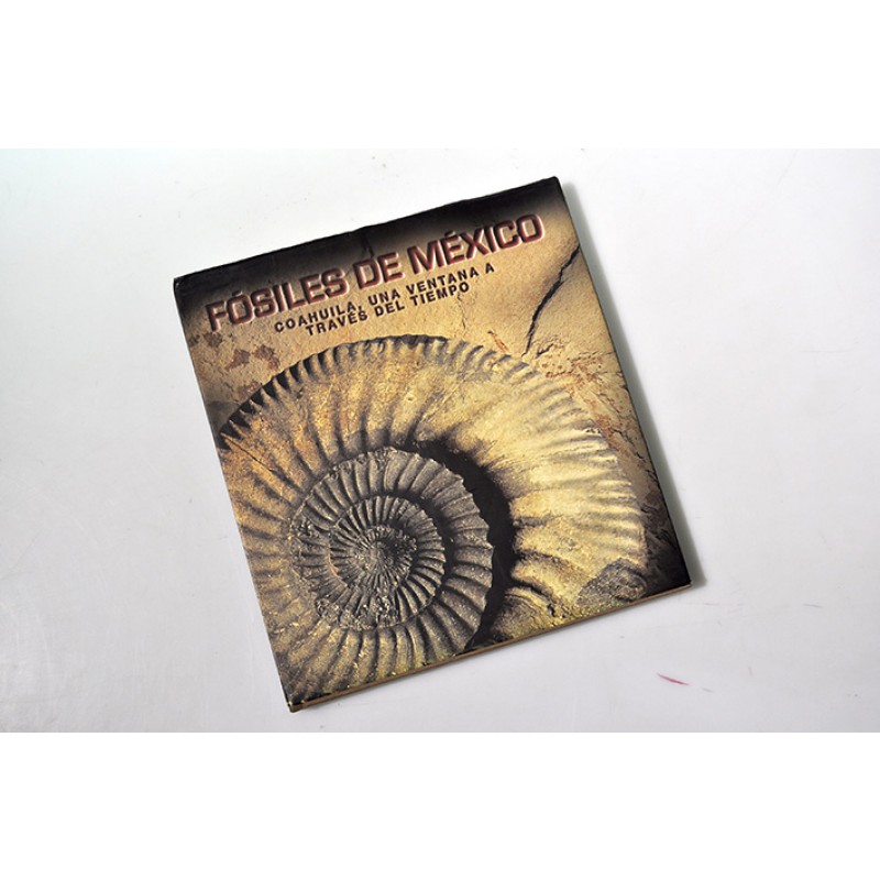 Fósiles de México. Coahuila, una ventana a través del tiempo ...