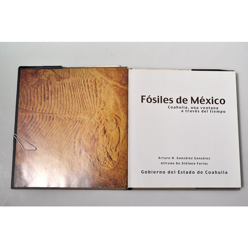 Fósiles de México. Coahuila, una ventana a través del tiempo ...