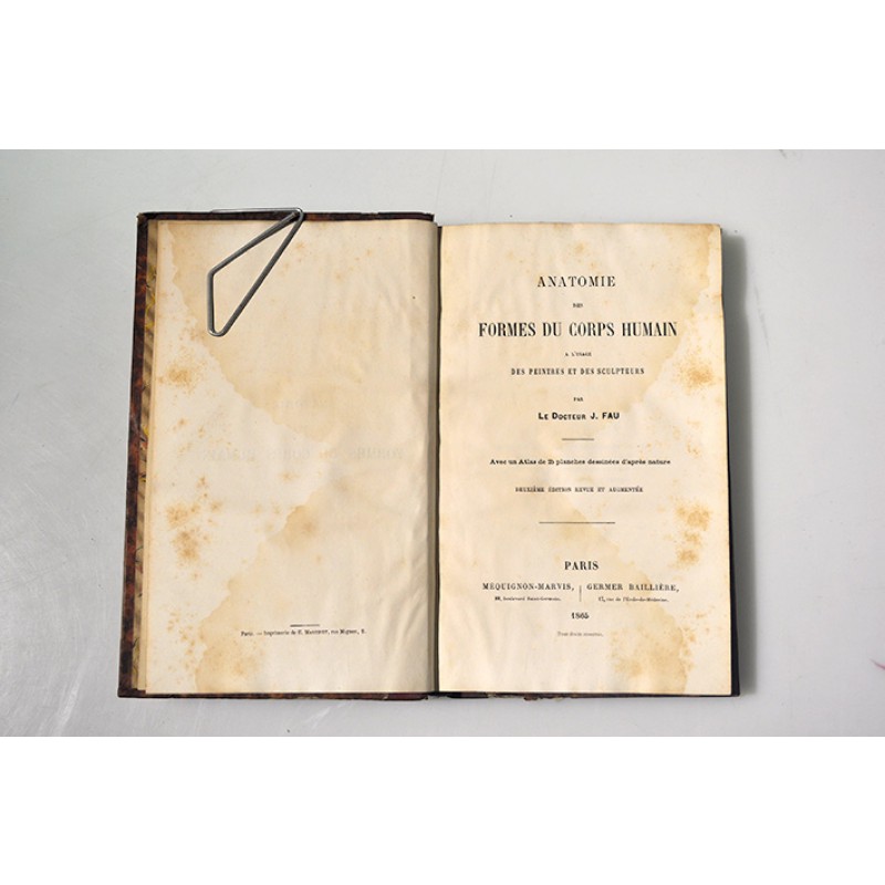 Anatomie des formes du corps humain